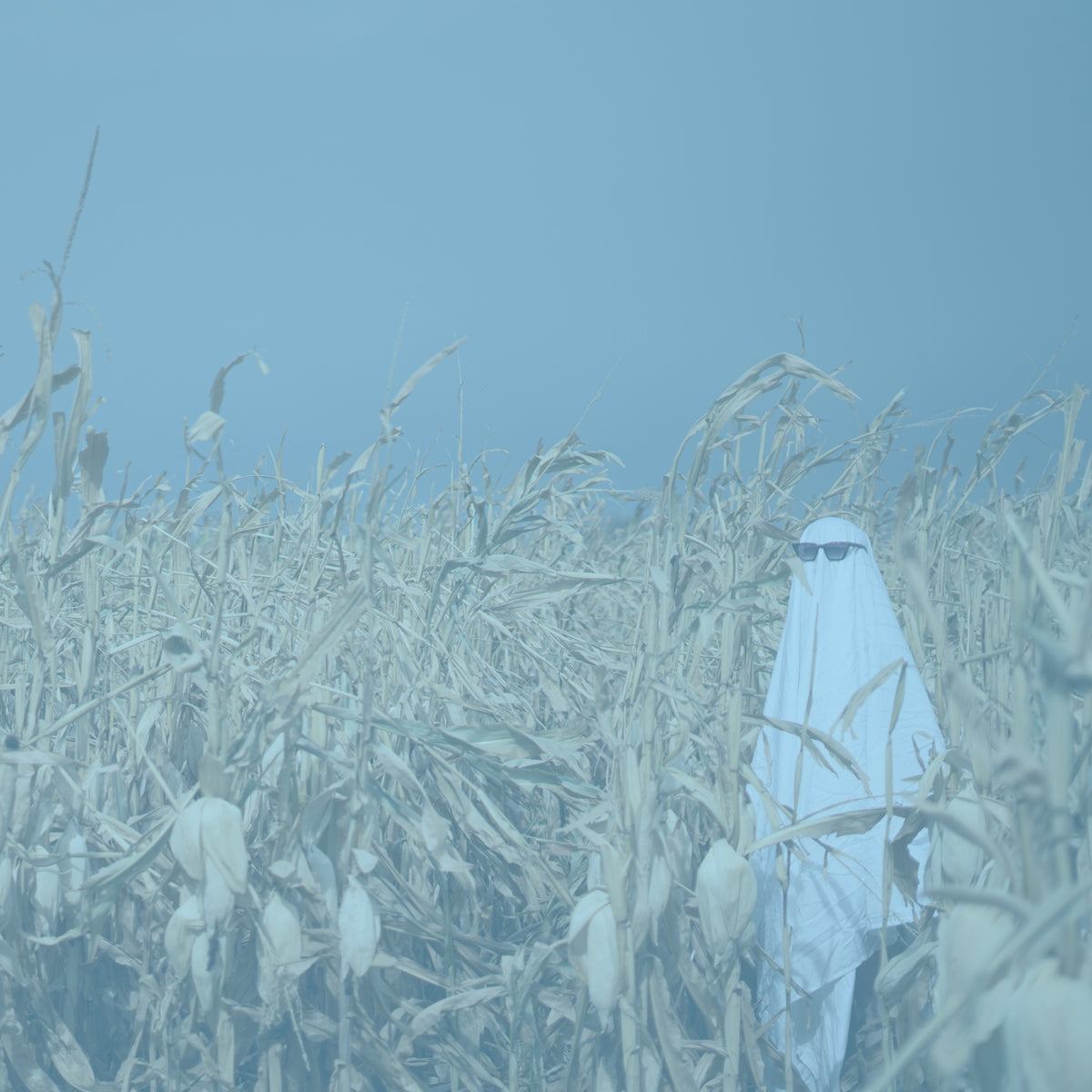 UBMC 138: SCARY STORIES TO TELL IN THE DARK & GHOST | Uncle Bob's Magic ...