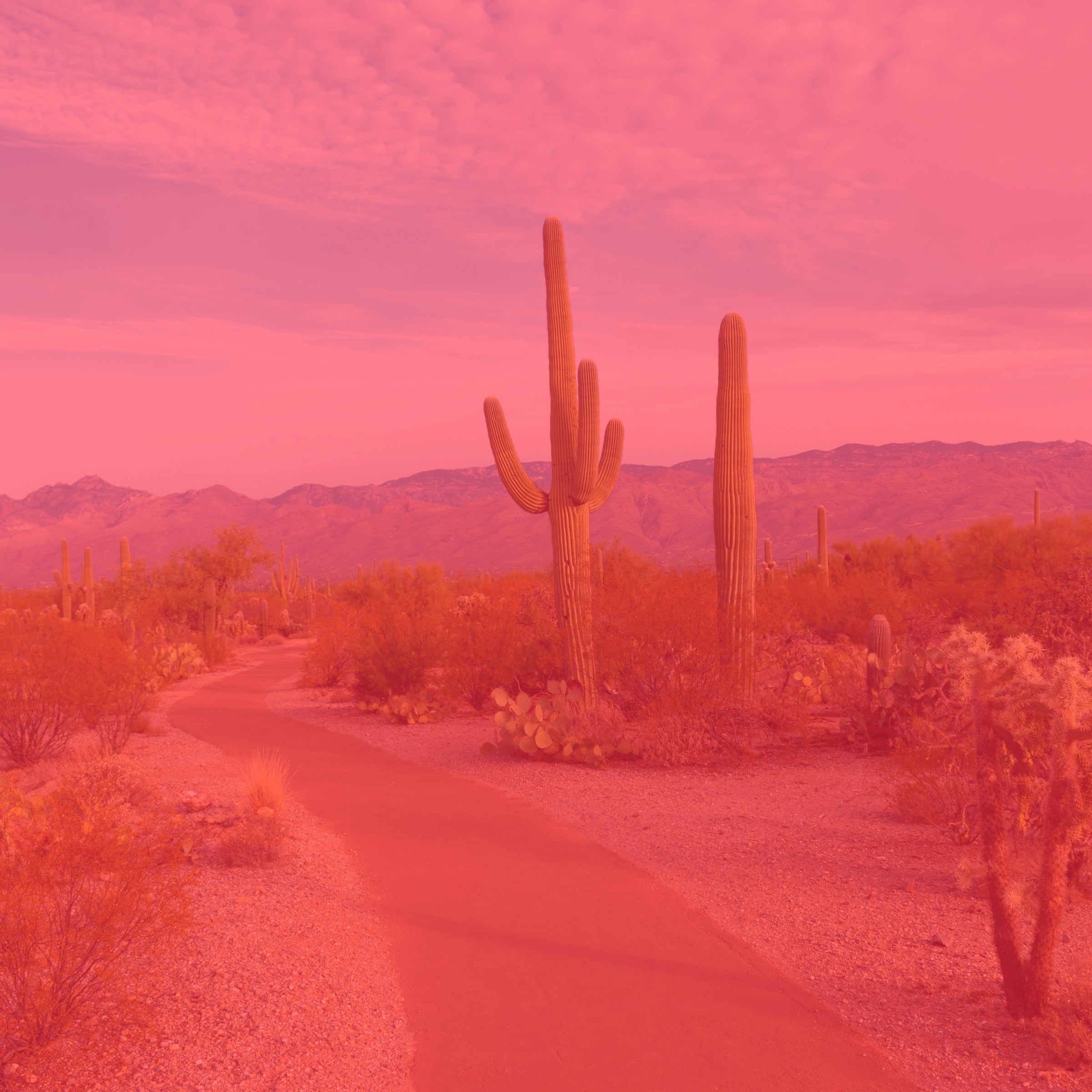 SPECIAL ANNOUNCEMENT: UNCLE BOB'S ON THE ROAD | Uncle Bob's Magic Cabinet