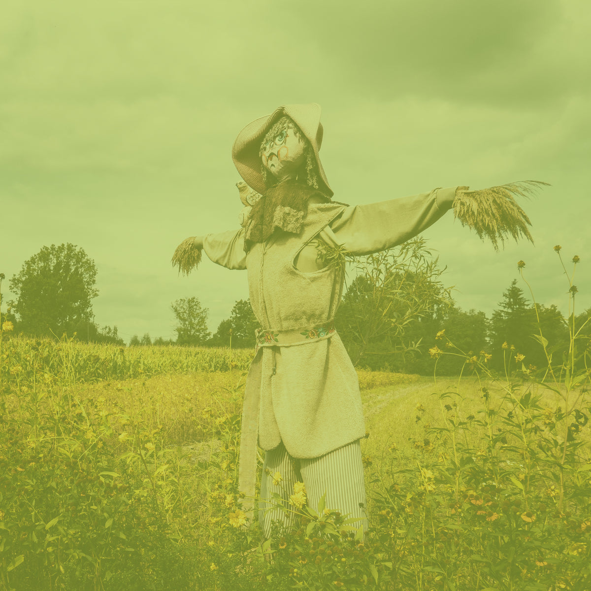 UBMC WITCH WHISPER 89: SCARECROWS | Uncle Bob's Magic Cabinet